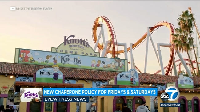 Six Flags CEO Selim A. Bassoul says parks have become 'cheap daycare ...