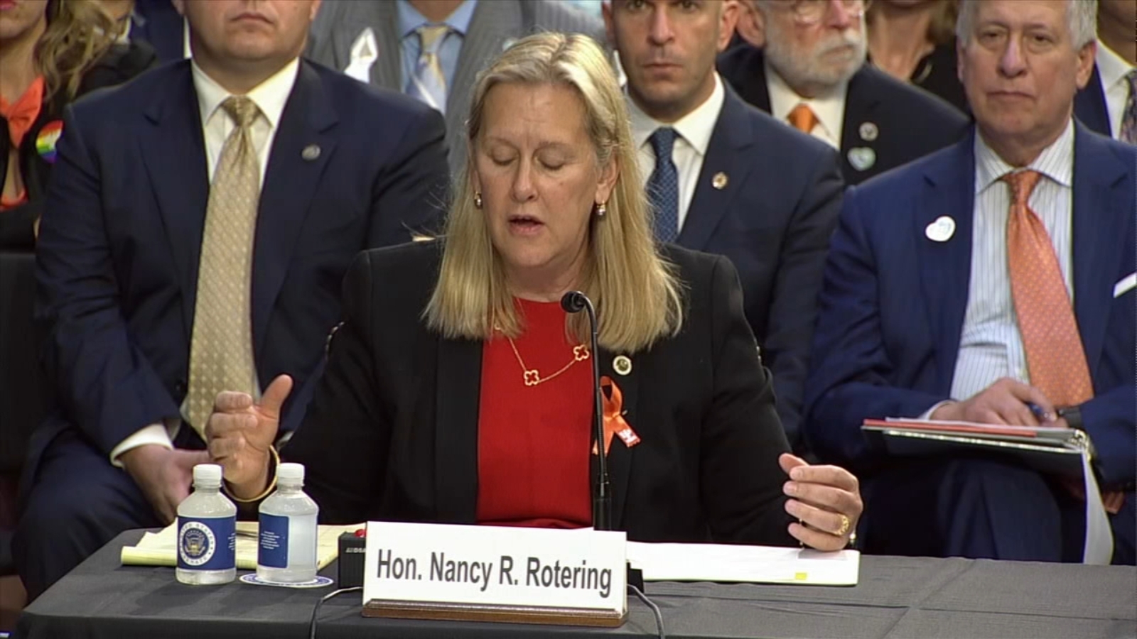 Highland Park Mayor Nancy Rotering testifies at US Senate hearing on ...