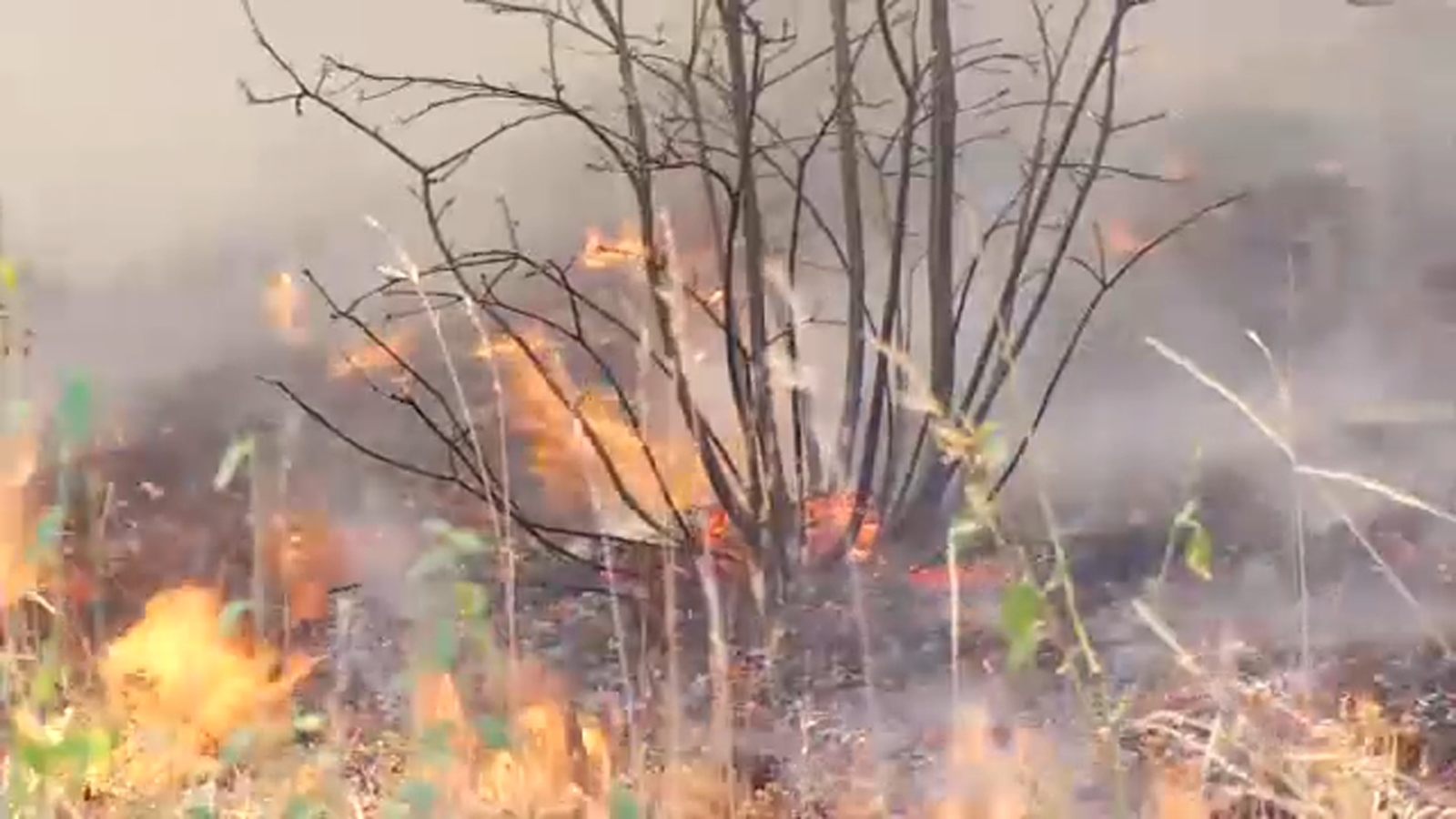 Oak Fire: Dozens of families return to see their homes destroyed ...