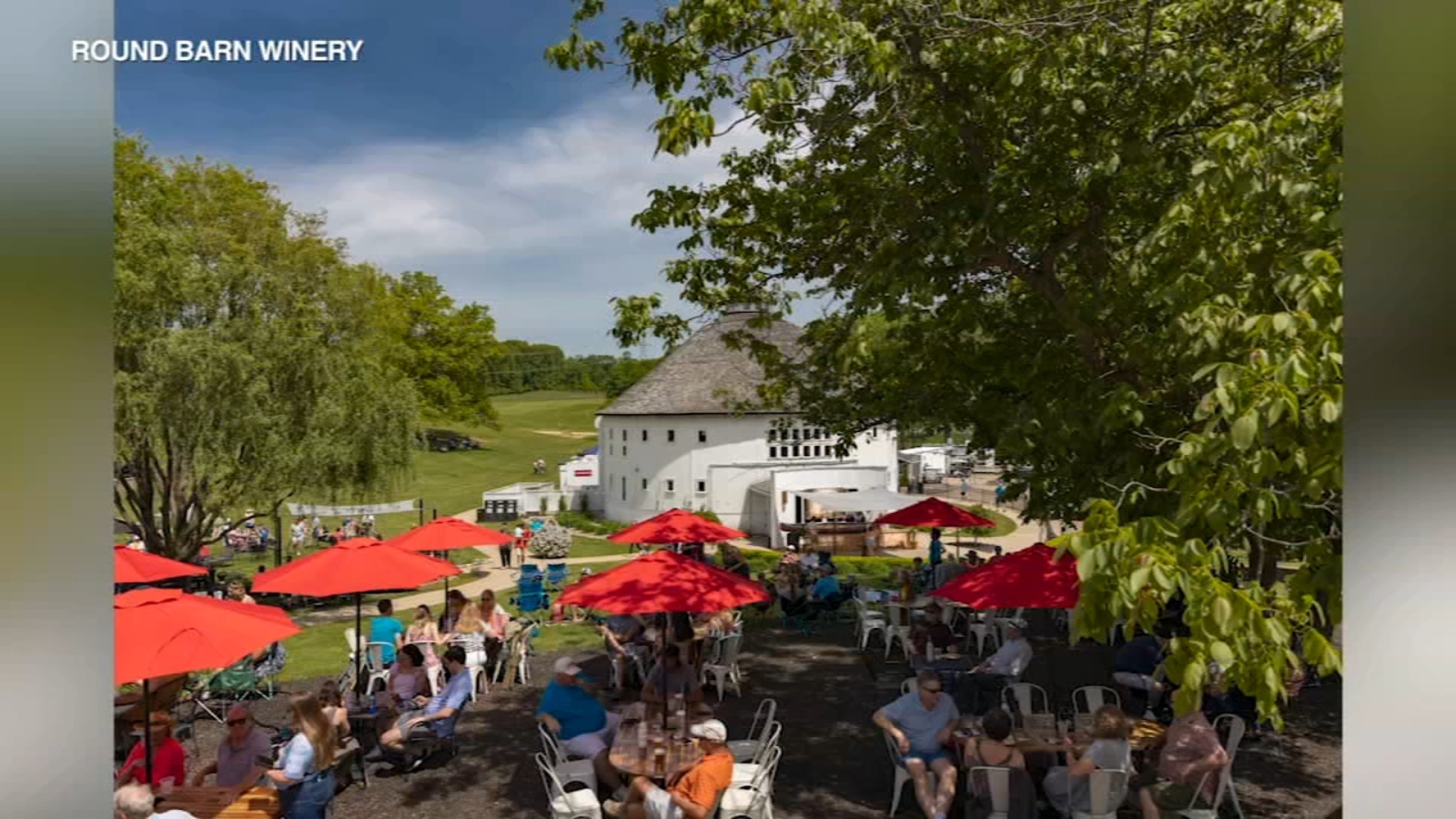 Michigan's Round Barn Winery creates perfect summer escape - ABC7 Chicago