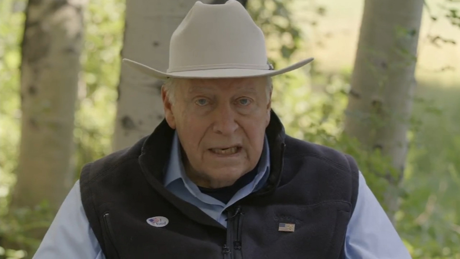 Former Vice President Dick Cheney defends daughter Liz, slams Donald ...