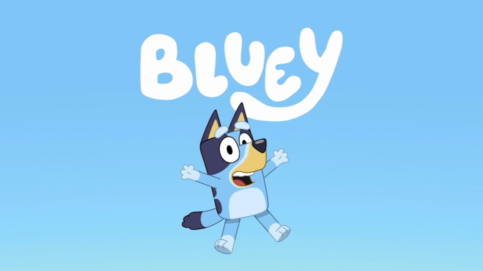 Producers of 'Bluey' talk about its surprise success and future of the ...