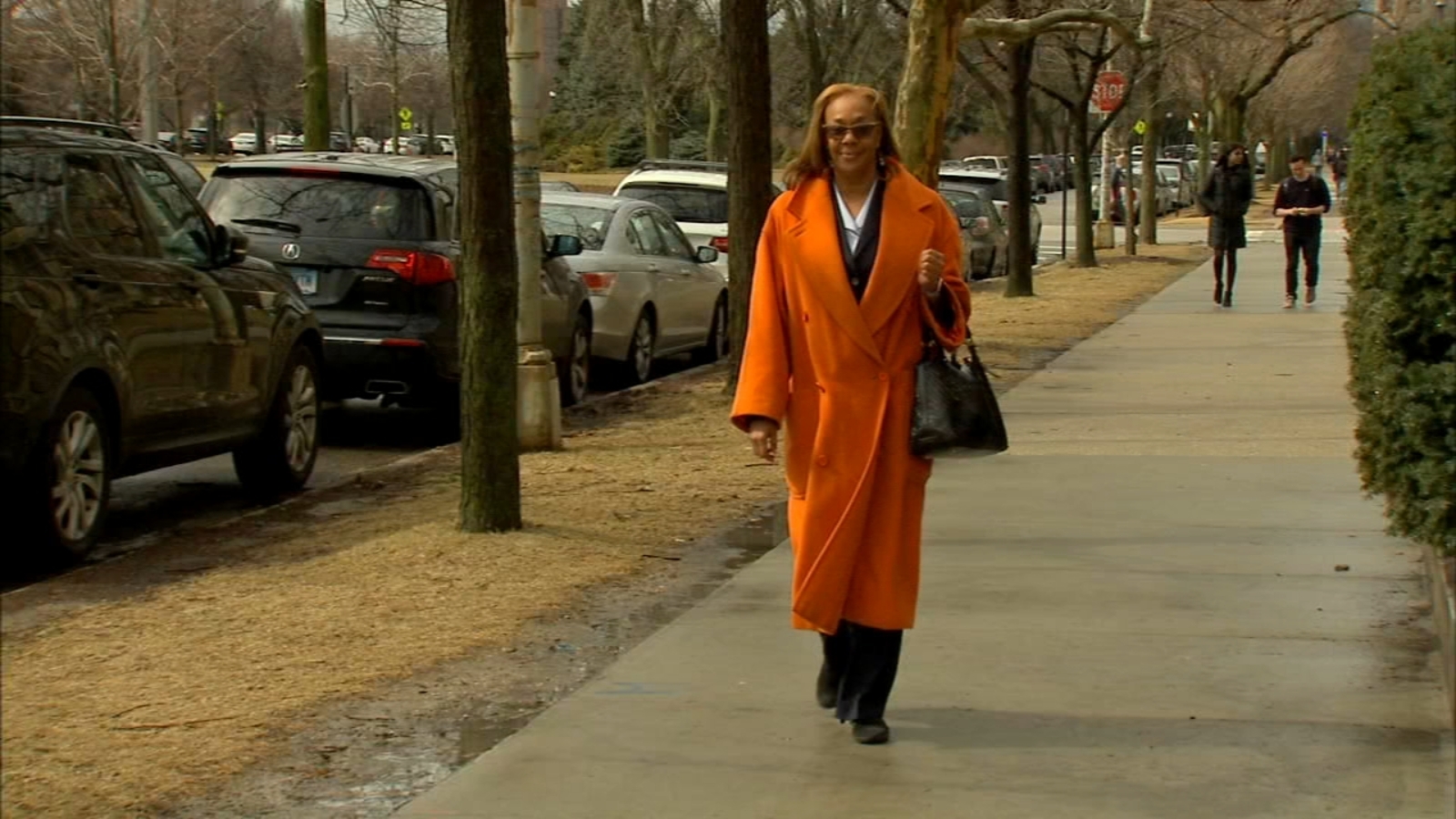 5th Ward Alderperson Leslie Hairston announces retirement from Chicago ...