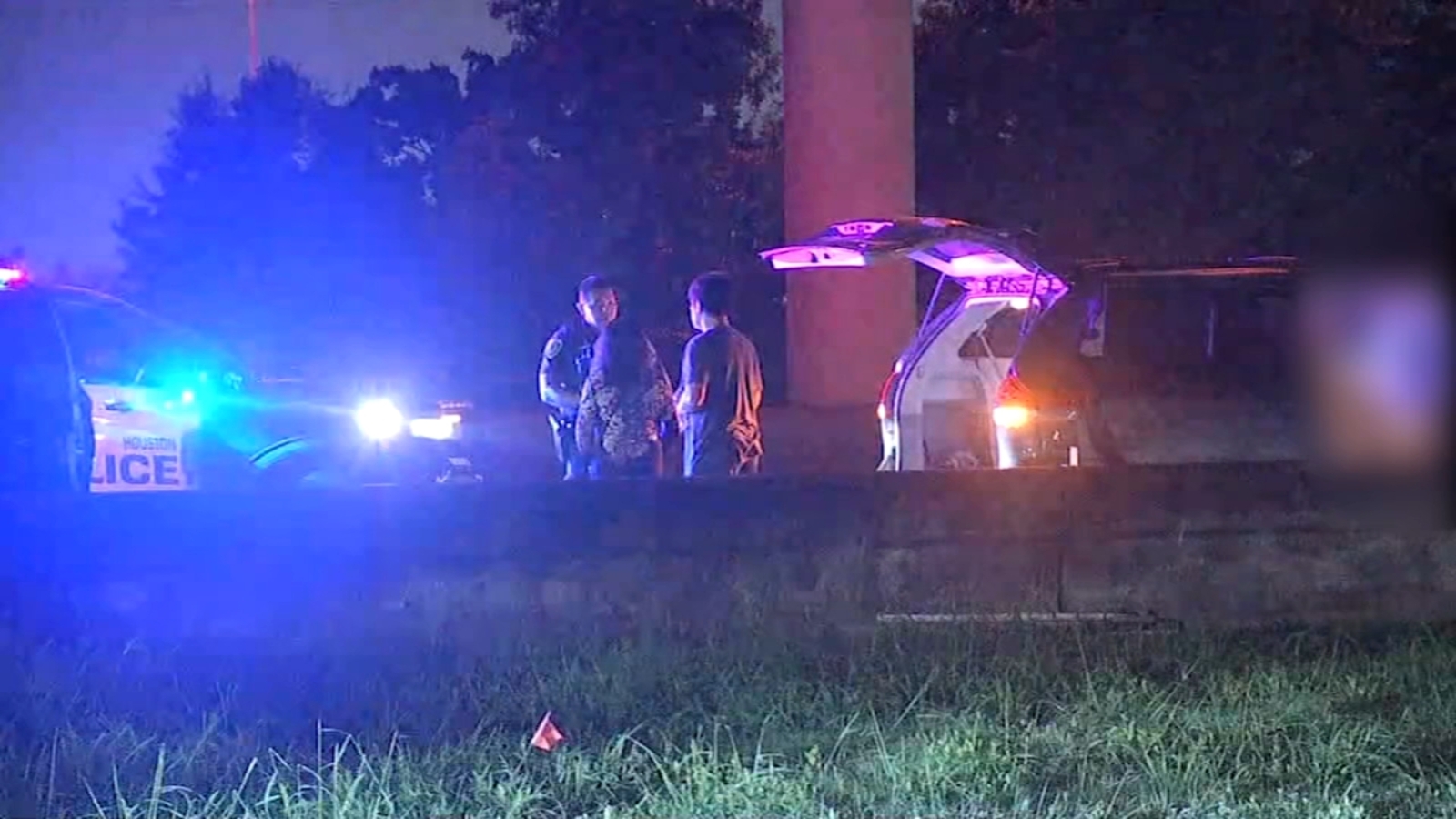 Man and his dog hit and killed while trying to cross I-45 Gulf Freeway ...