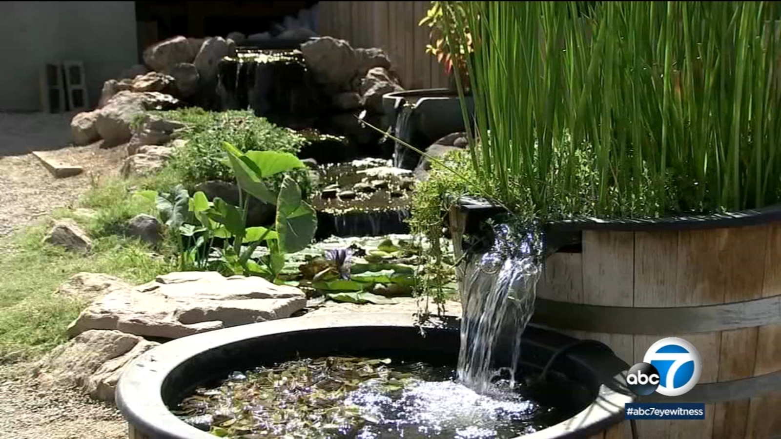 Add water to save water? How adding a pond to your landscape can ...