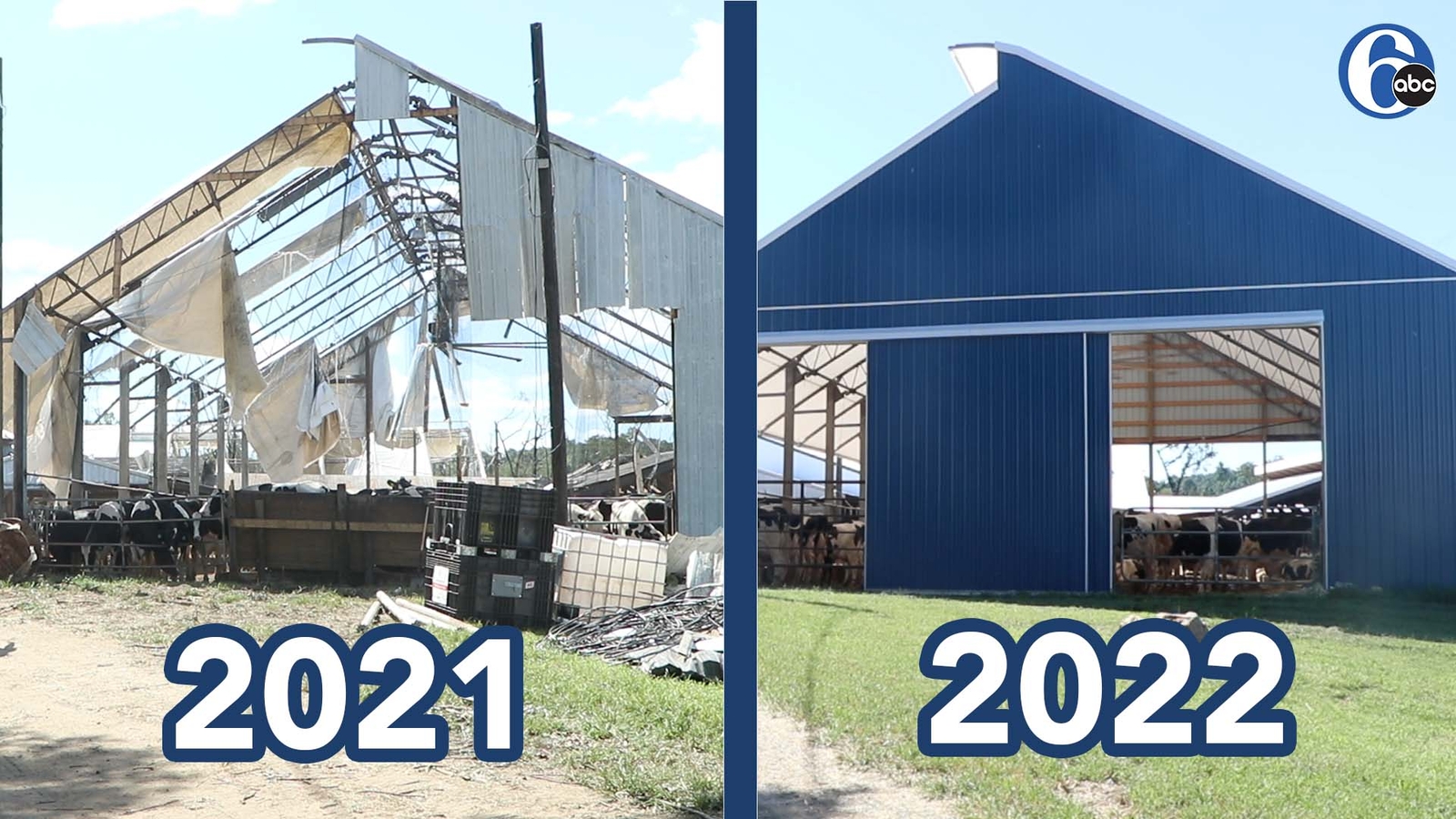 One year later: New Jersey's largest dairy farm rebuilds after ...