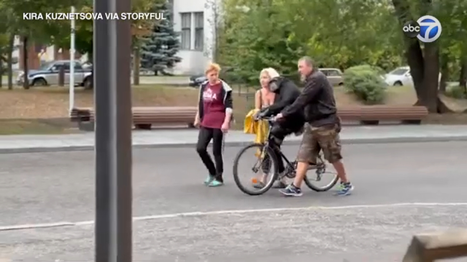 Escaped chimp in Ukraine's Kharkiv returns to zoo on bicycle: VIDEO ...