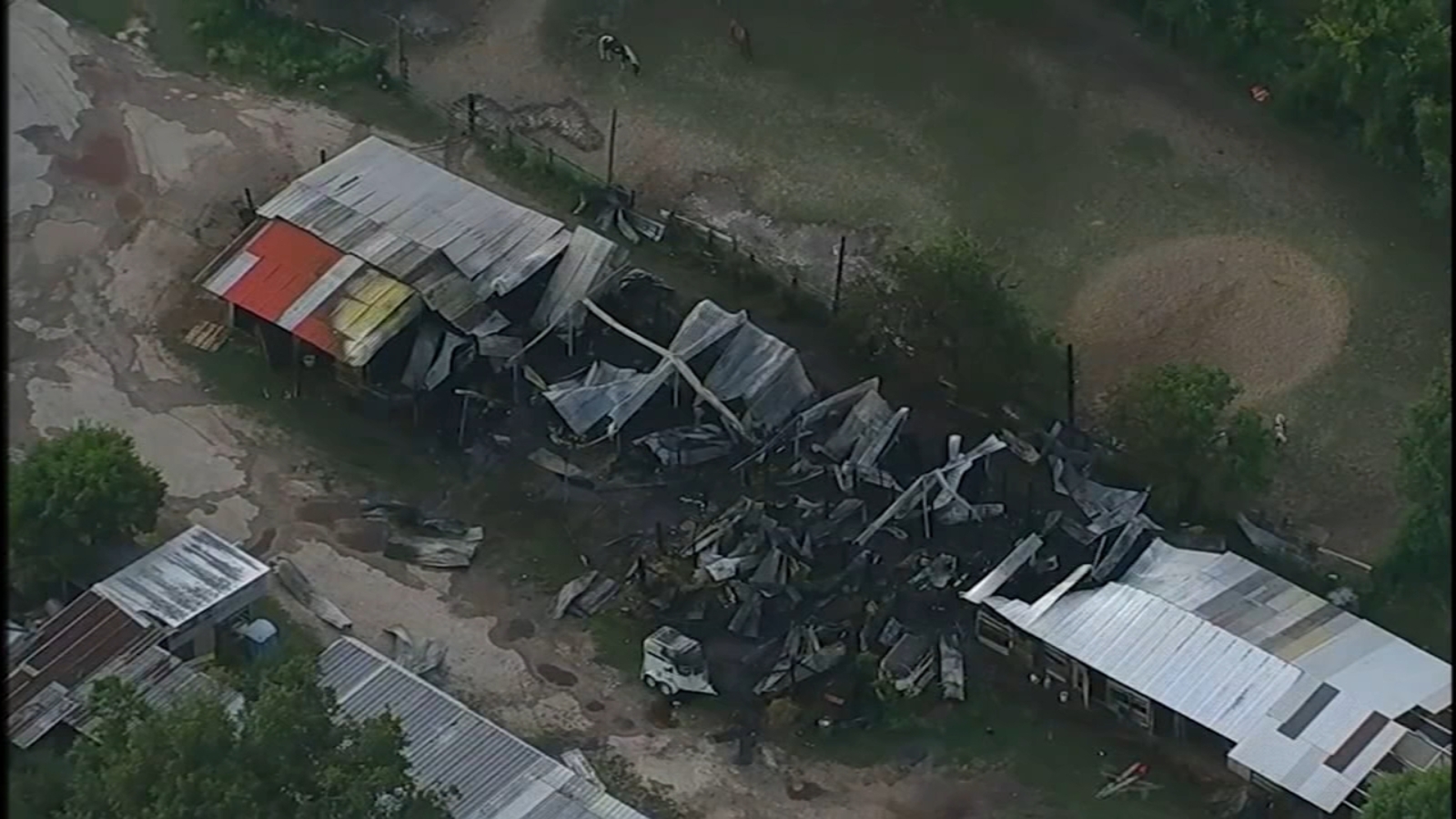 At least 15 horses killed in massive stable fire on Linn Street in ...