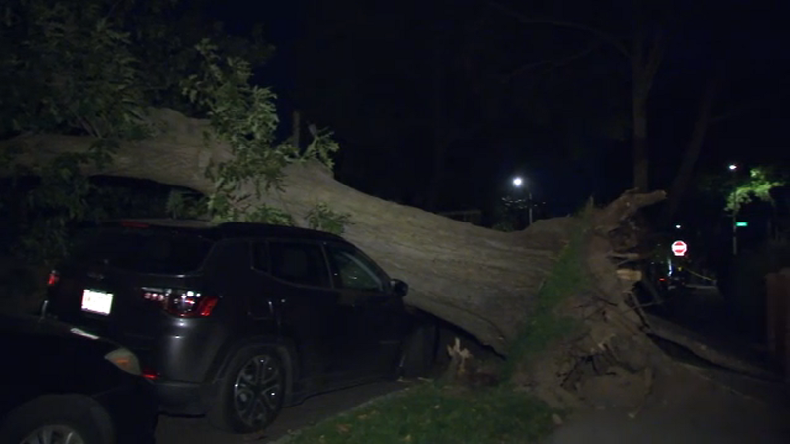 Strong winds rip tree from ground, crushing several parked cars in ...