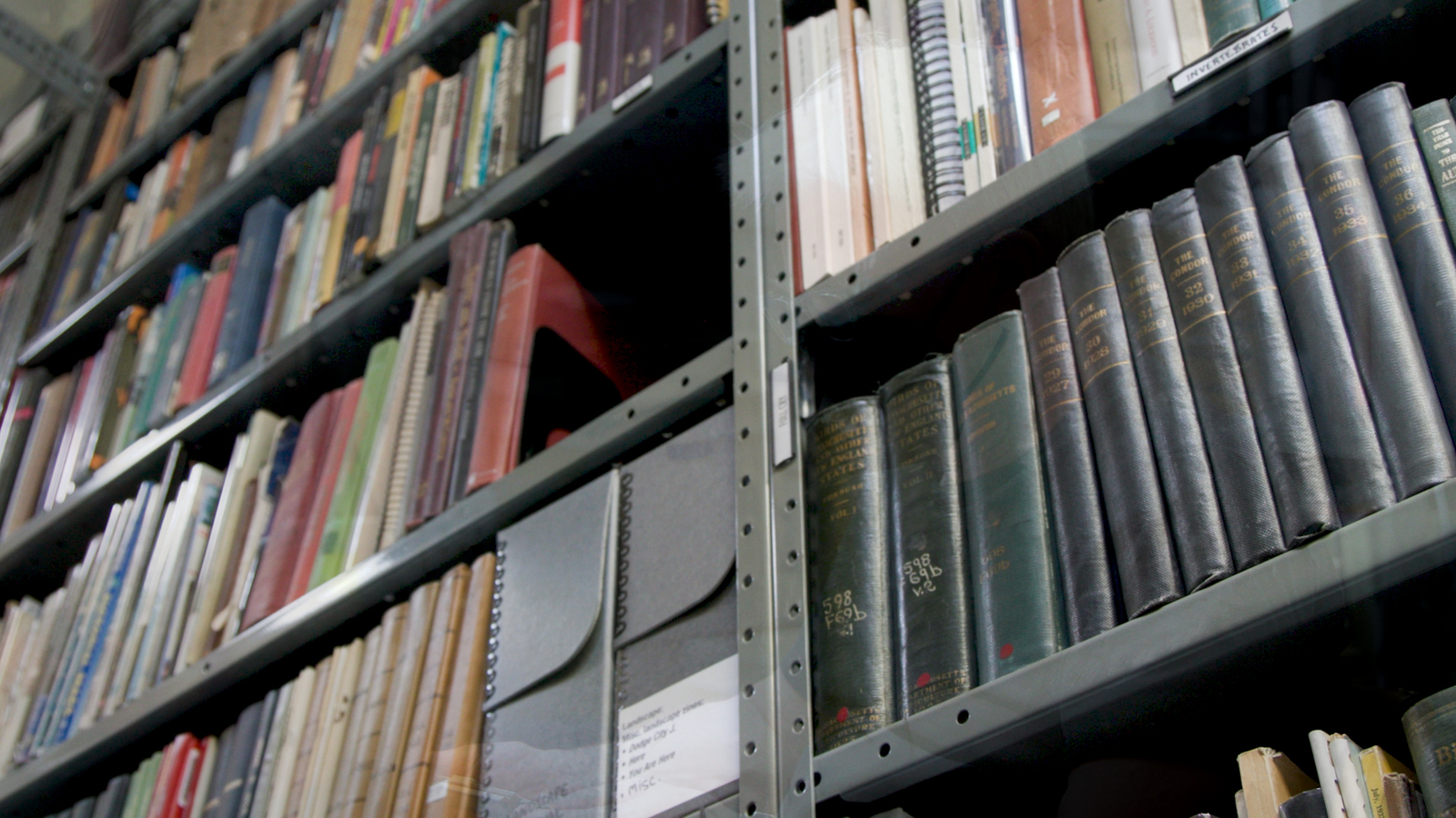 Prelinger Library keeps print alive for 19 years and counting - ABC7 ...