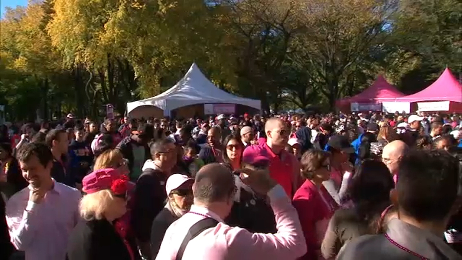 Making Strides Against Breast Cancer: Thousands walk in Brooklyn ...