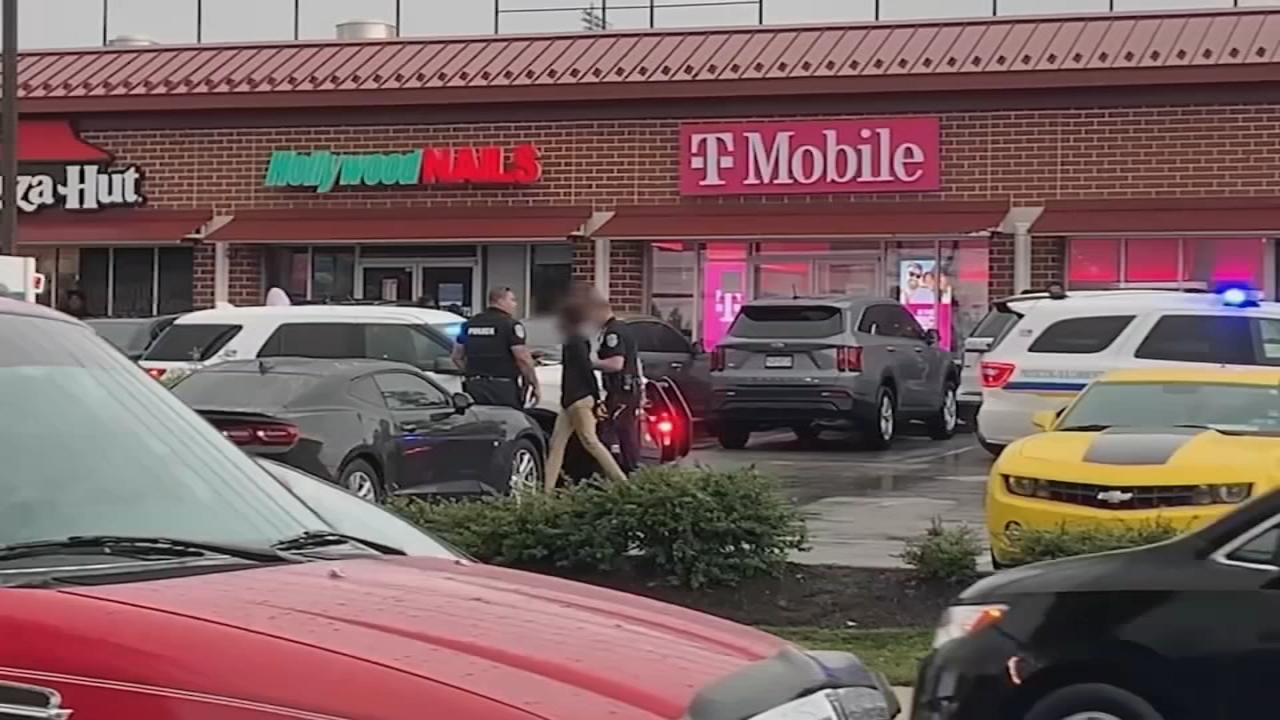 Easter bunny in Orlando, Florida, throws fists in fight posted to ...