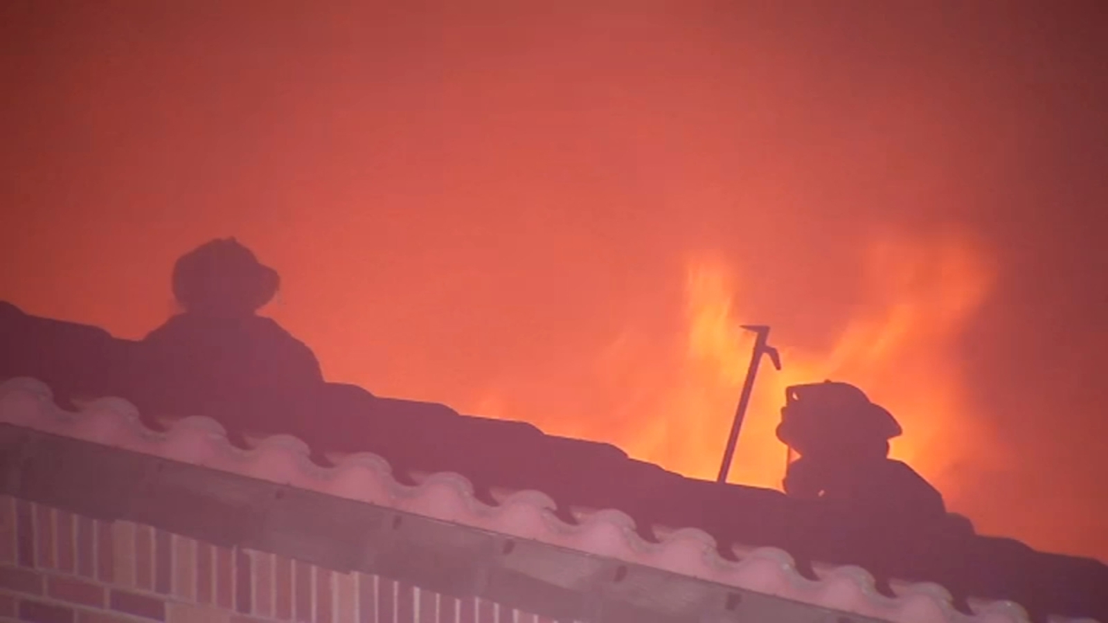 Fire tears through historic Fresno building, two burned, several animals rescued - ABC30 Fresno