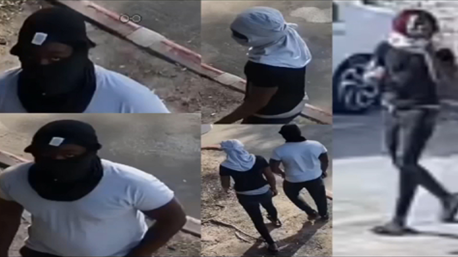 Houston crime: Wanted men accused of trying to steal snake in armed ...