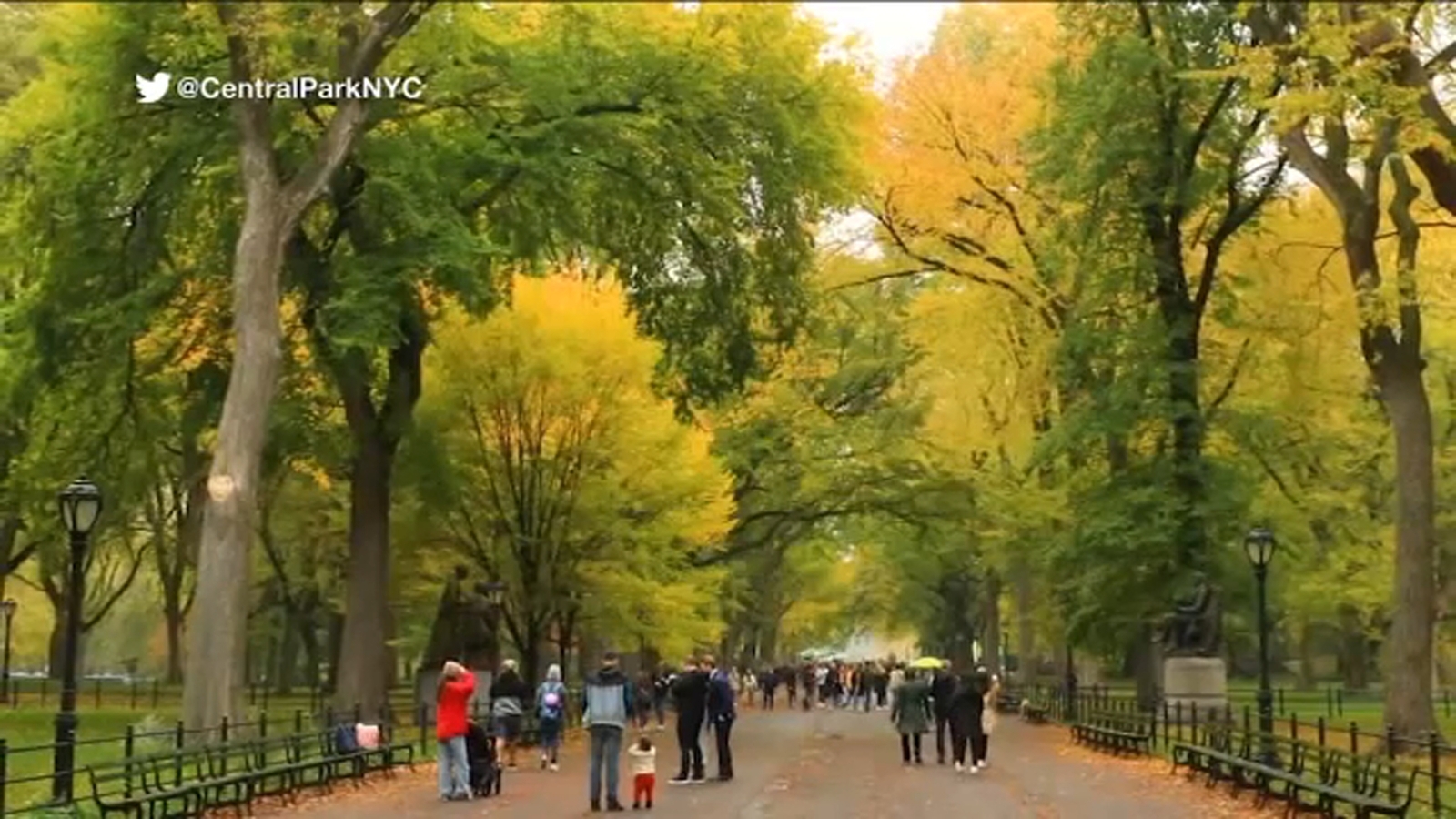 Mall, Literary Walk of Central Park see gorgeous fall colors as leaves ...