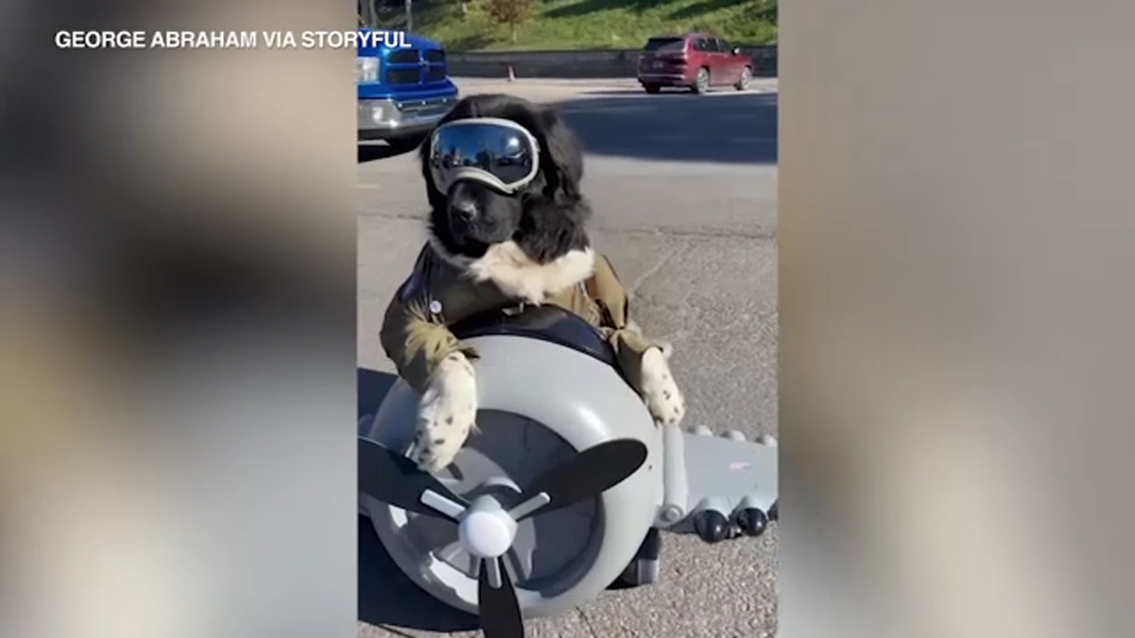 Video shows Pittston, Pennsylvania dog dressed in pilot costume riding ...