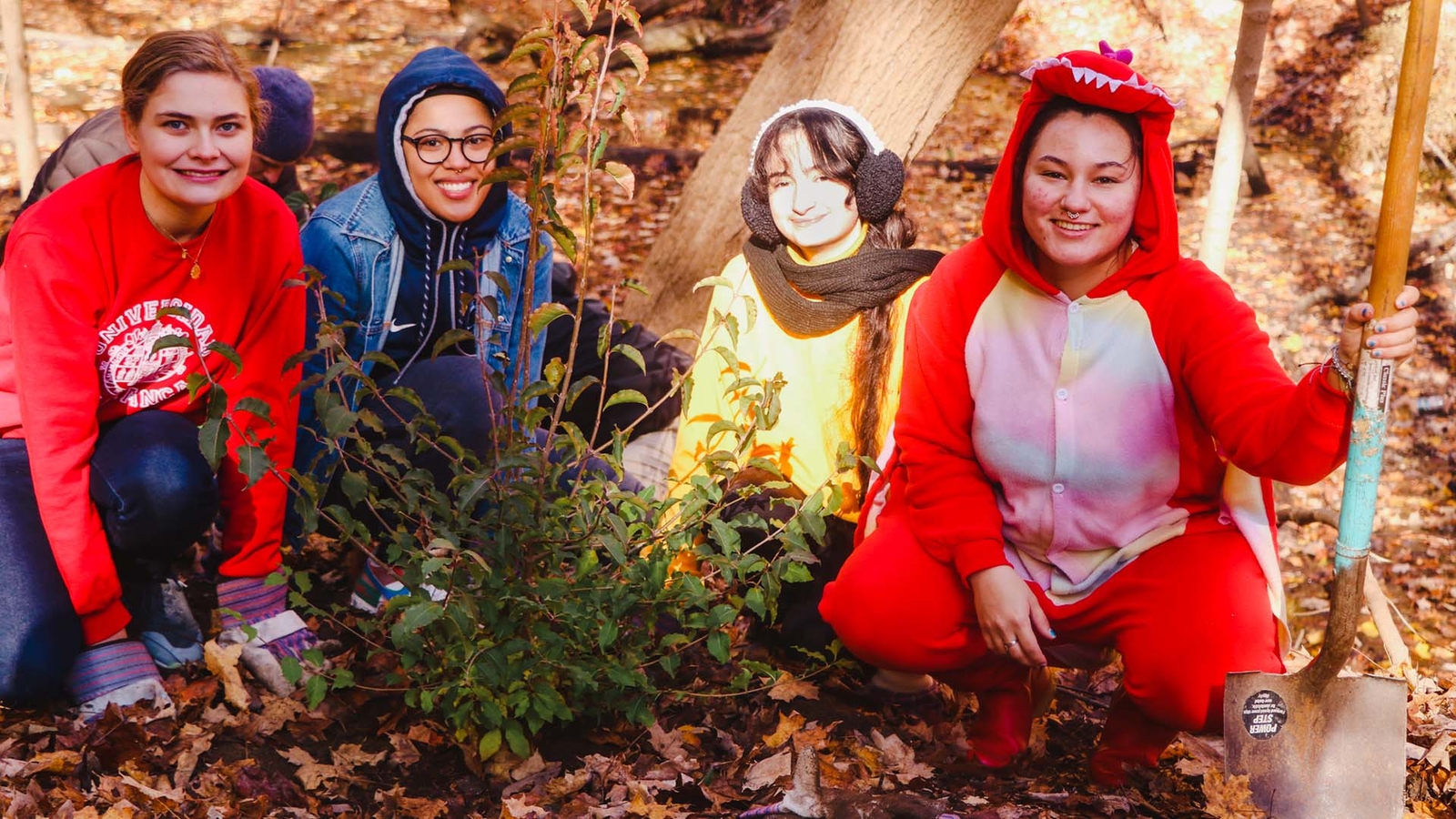 Families spend Halloween weekend planting trees in Philadelphia - 6abc ...