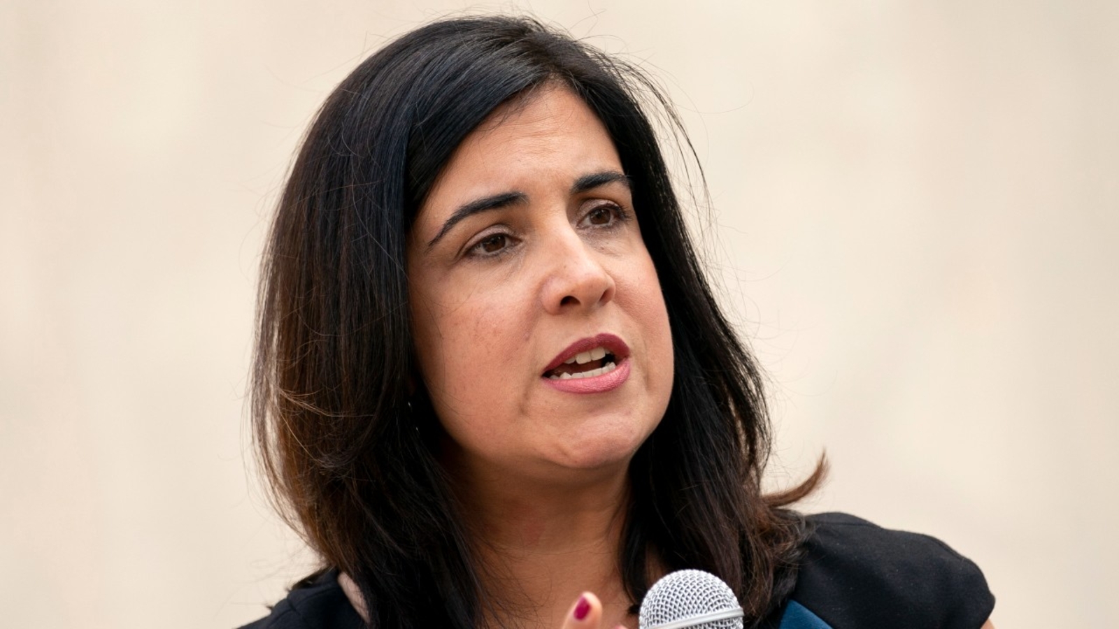 Midterm Election Day 2022: Nicole Malliotakis defeats Max Ros in ...
