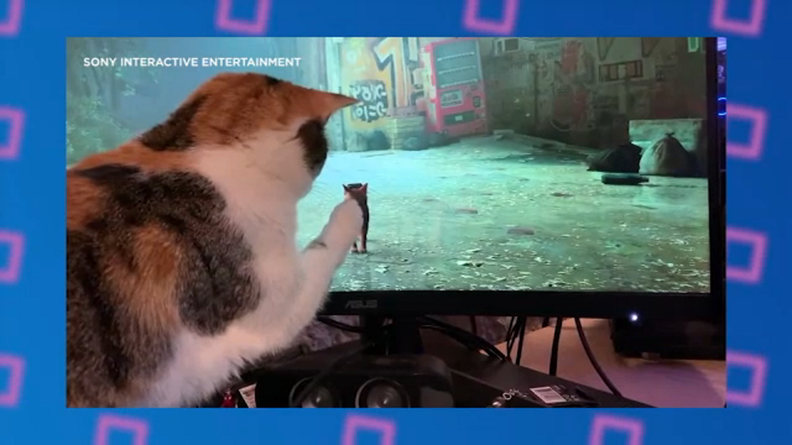 Playstation video game 'Stray' inspires campaign for 'American Society ...