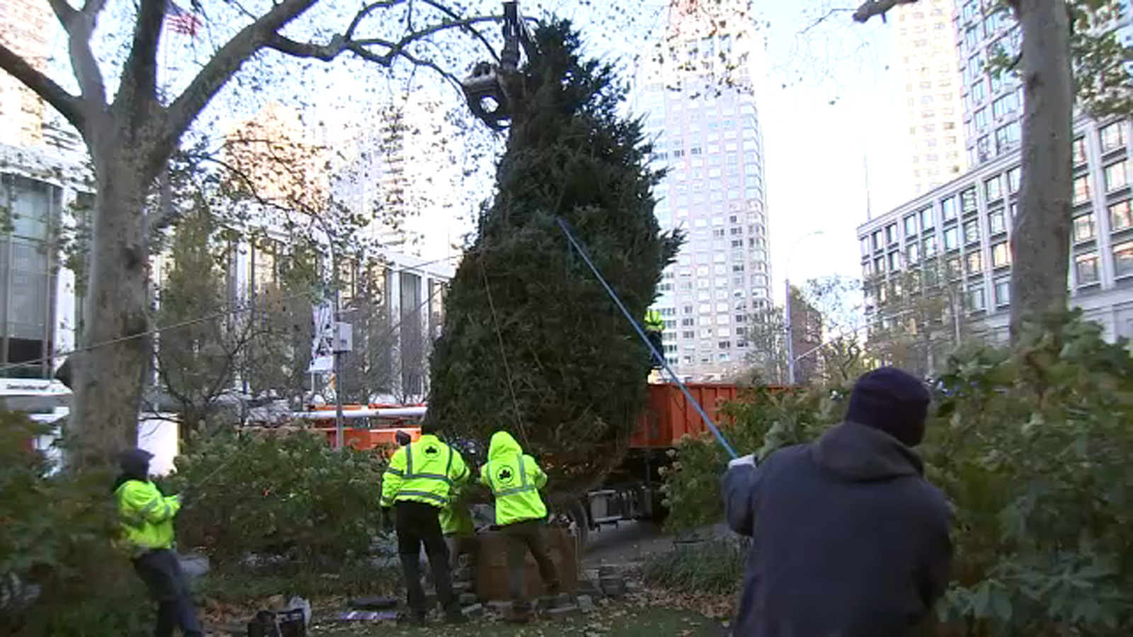 Christmas NYC: 20-foot-tree arrives in Lincoln Square - ABC7 New York