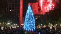 Chicago Holiday Events Near Me Christmas Tree Lighting Ice Skating