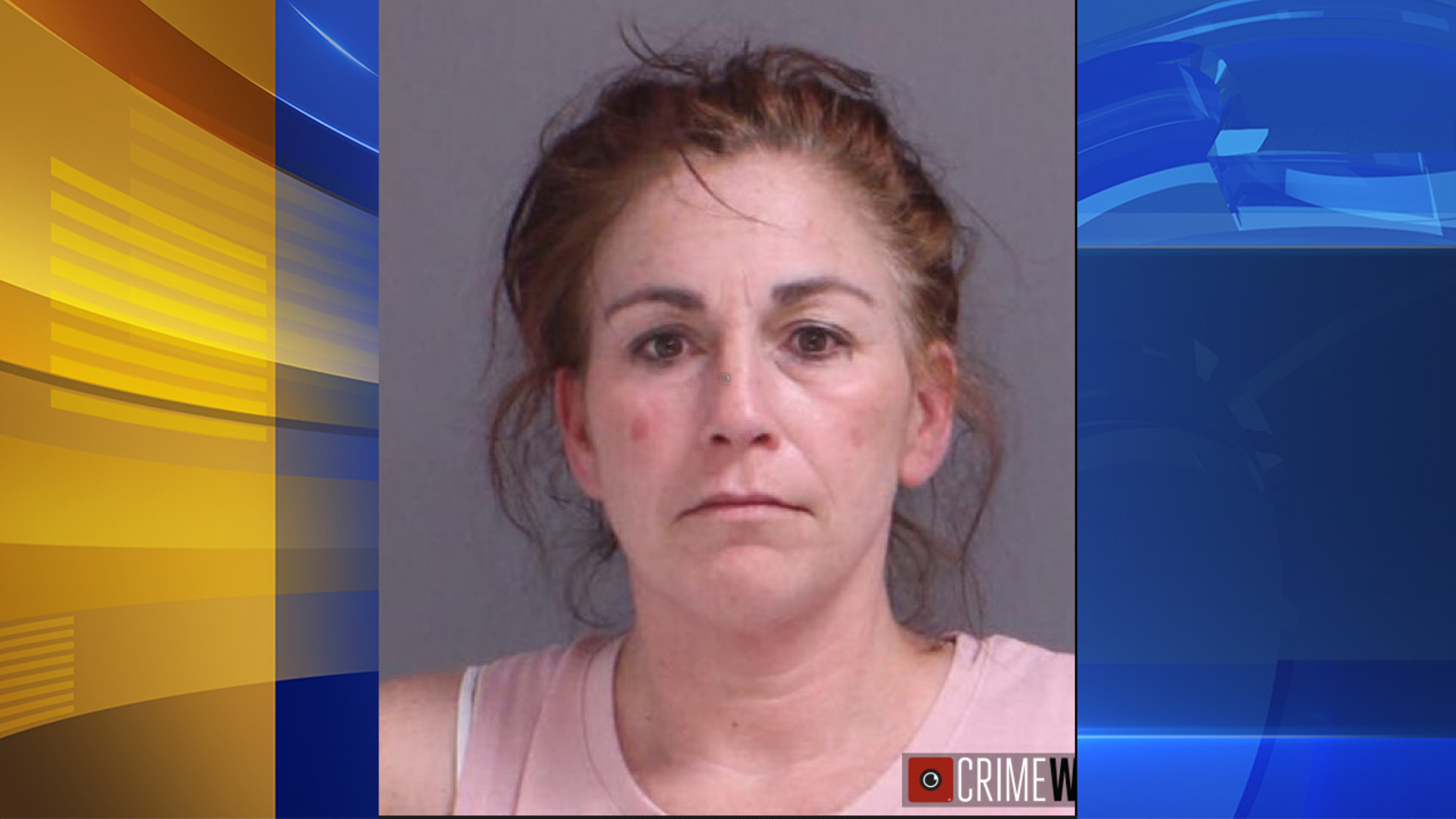 Bucks County woman sentenced in Lower Southampton Township crash that ...