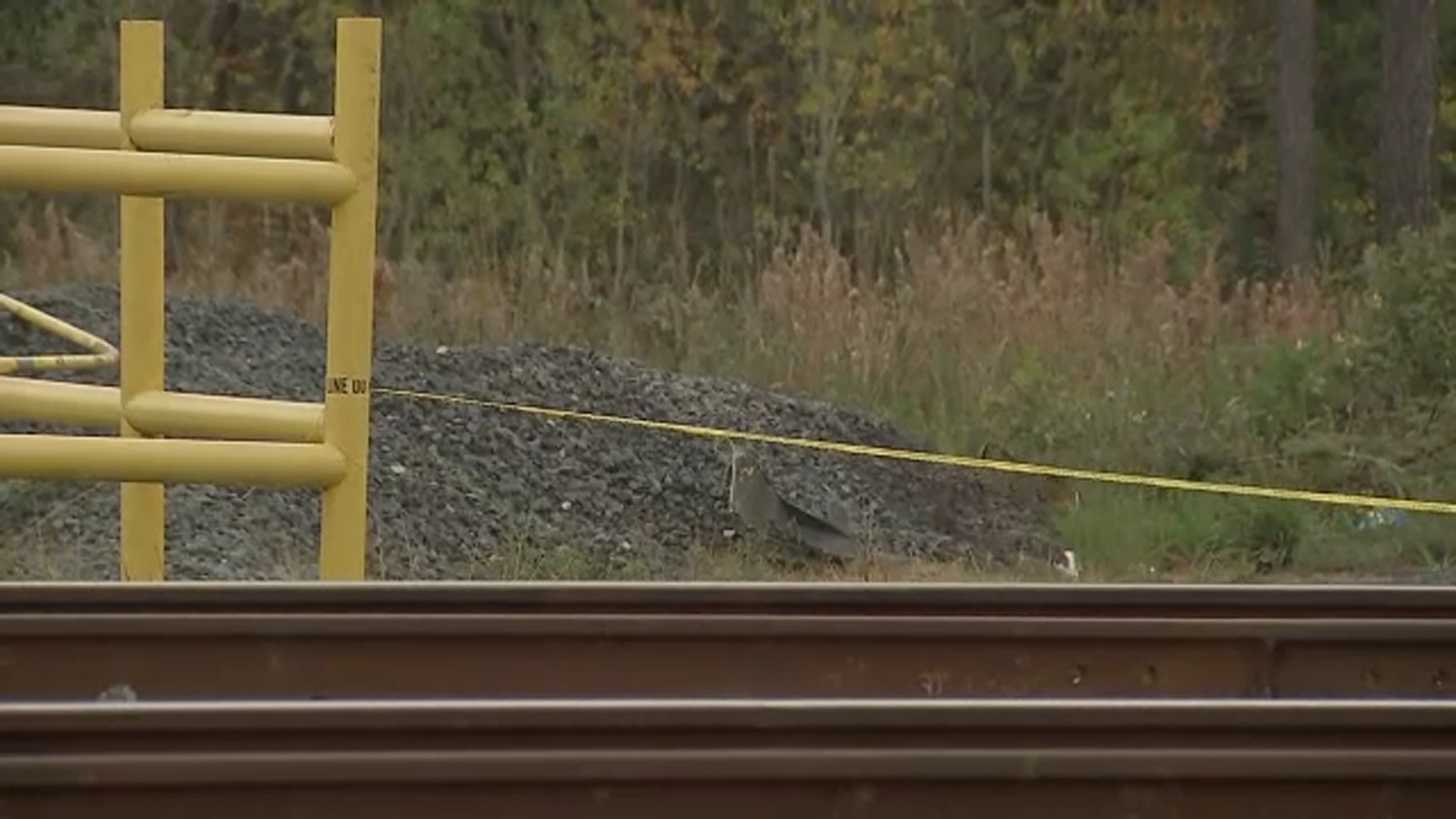 Body Found Missing Man Leonard Prince Shot To Death On Railroad
