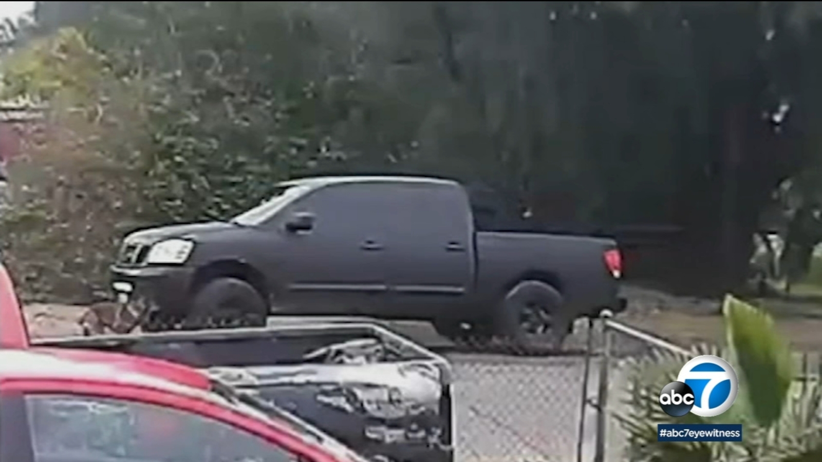 Dog abandoned, run over by pickup truck driver in Muscoy, San ...