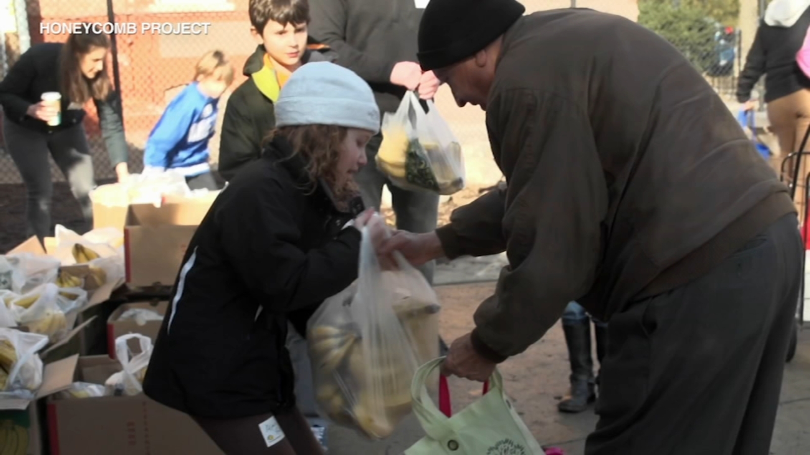 The Honeycomb Project offering holiday volunteering opportunities in ...