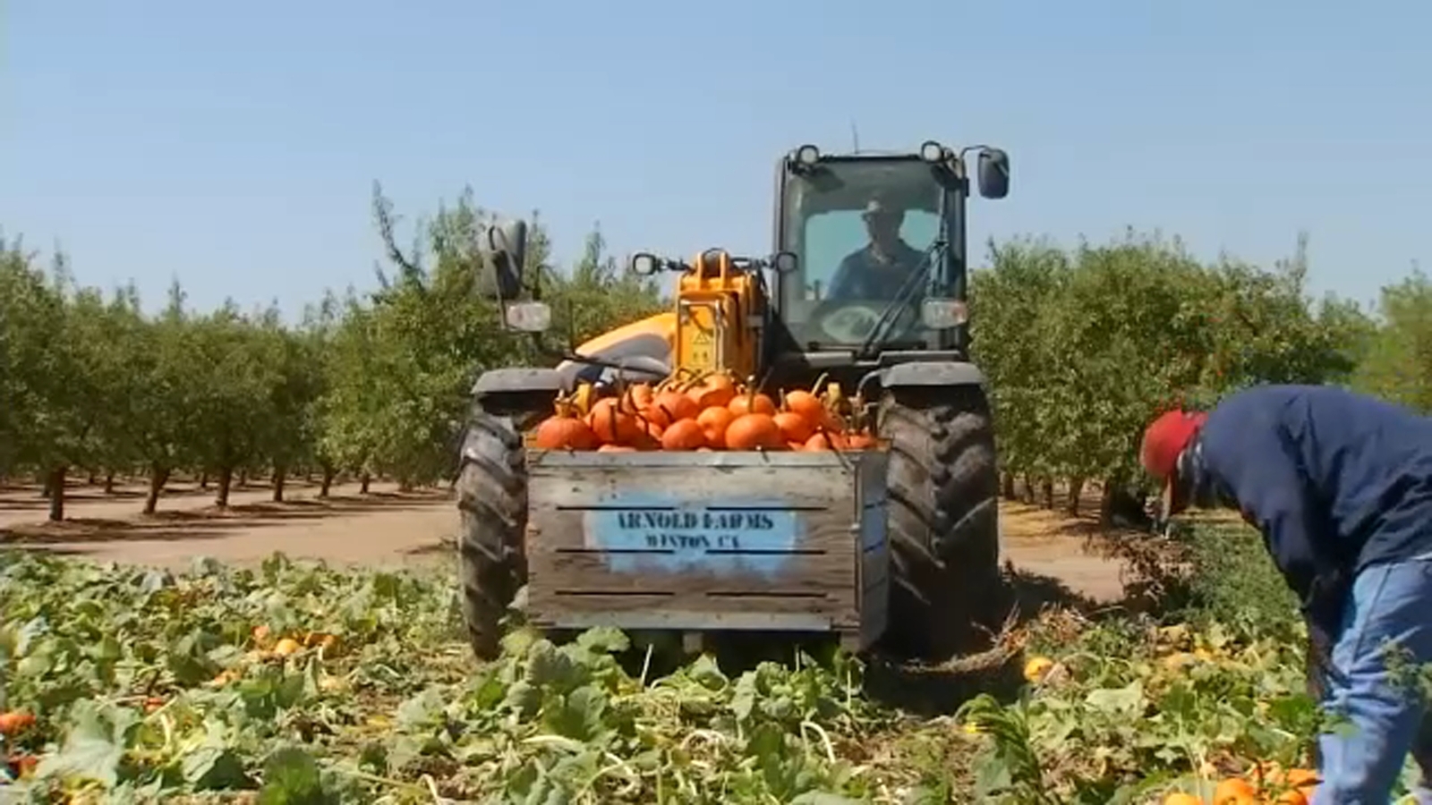 Website developed by UC Merced helping growers protect crops - ABC30 Fresno