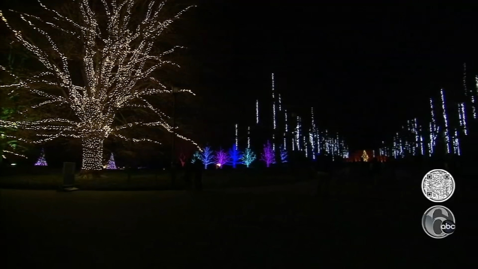 Christmas at Longwood Gardens features 39 miles of lights, holiday fun ...