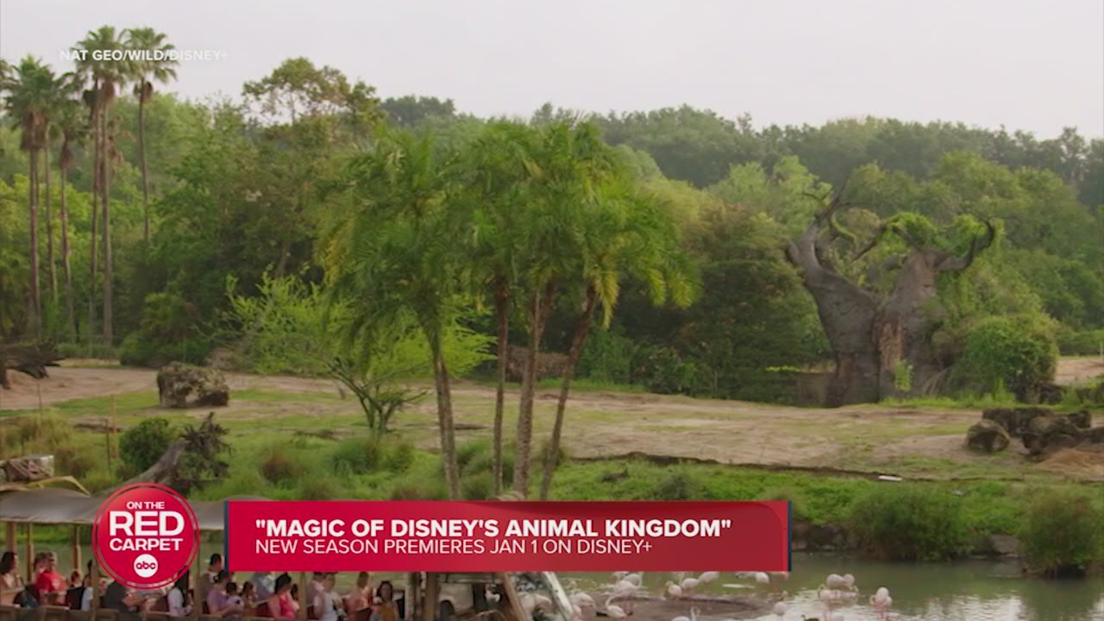 'Magic of Disney's Animal Kingom' is the ultimate tribute to Disney's ...