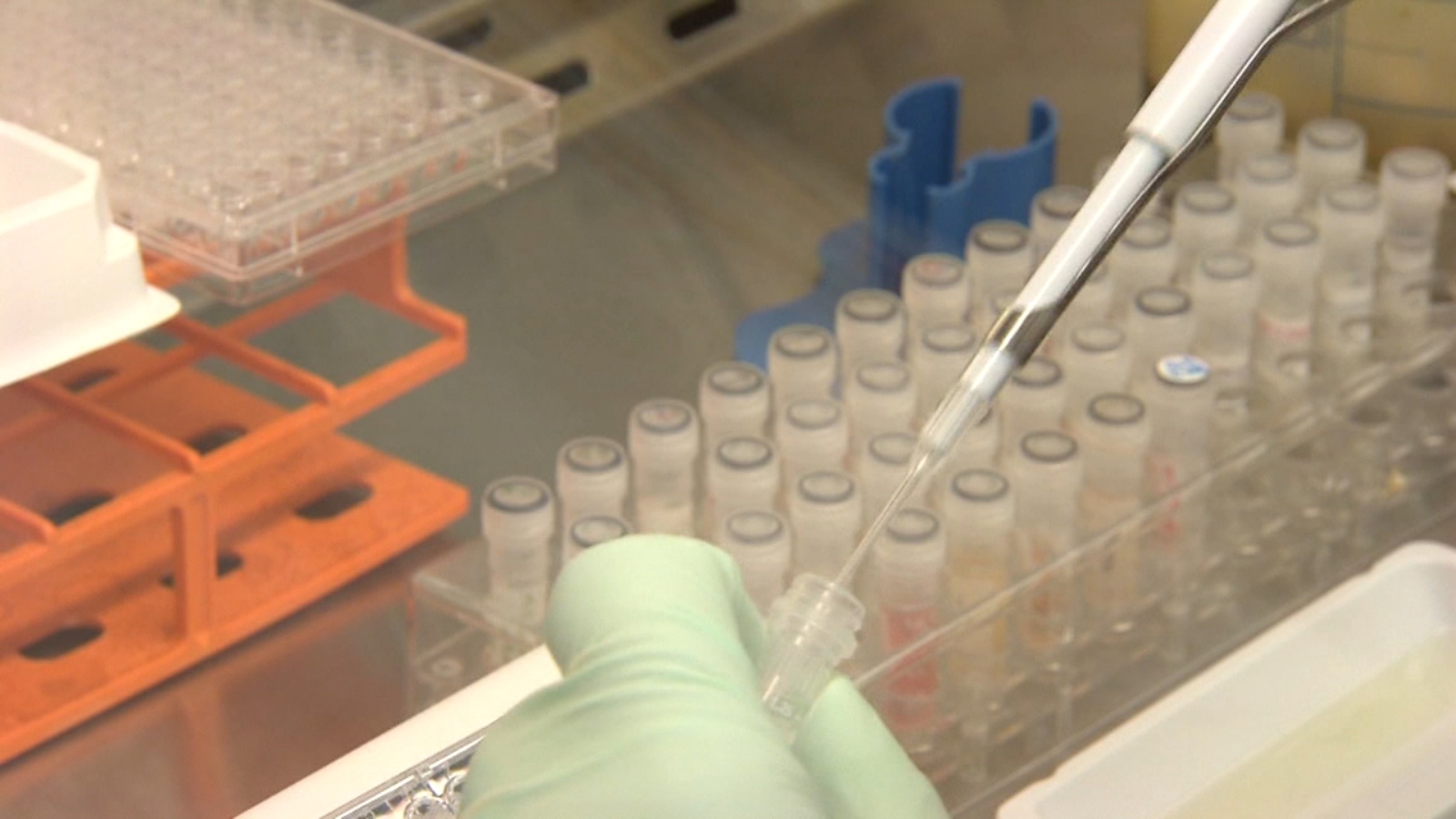 Researchers Make Progress Toward Possible Universal Flu Vaccine Abc7
