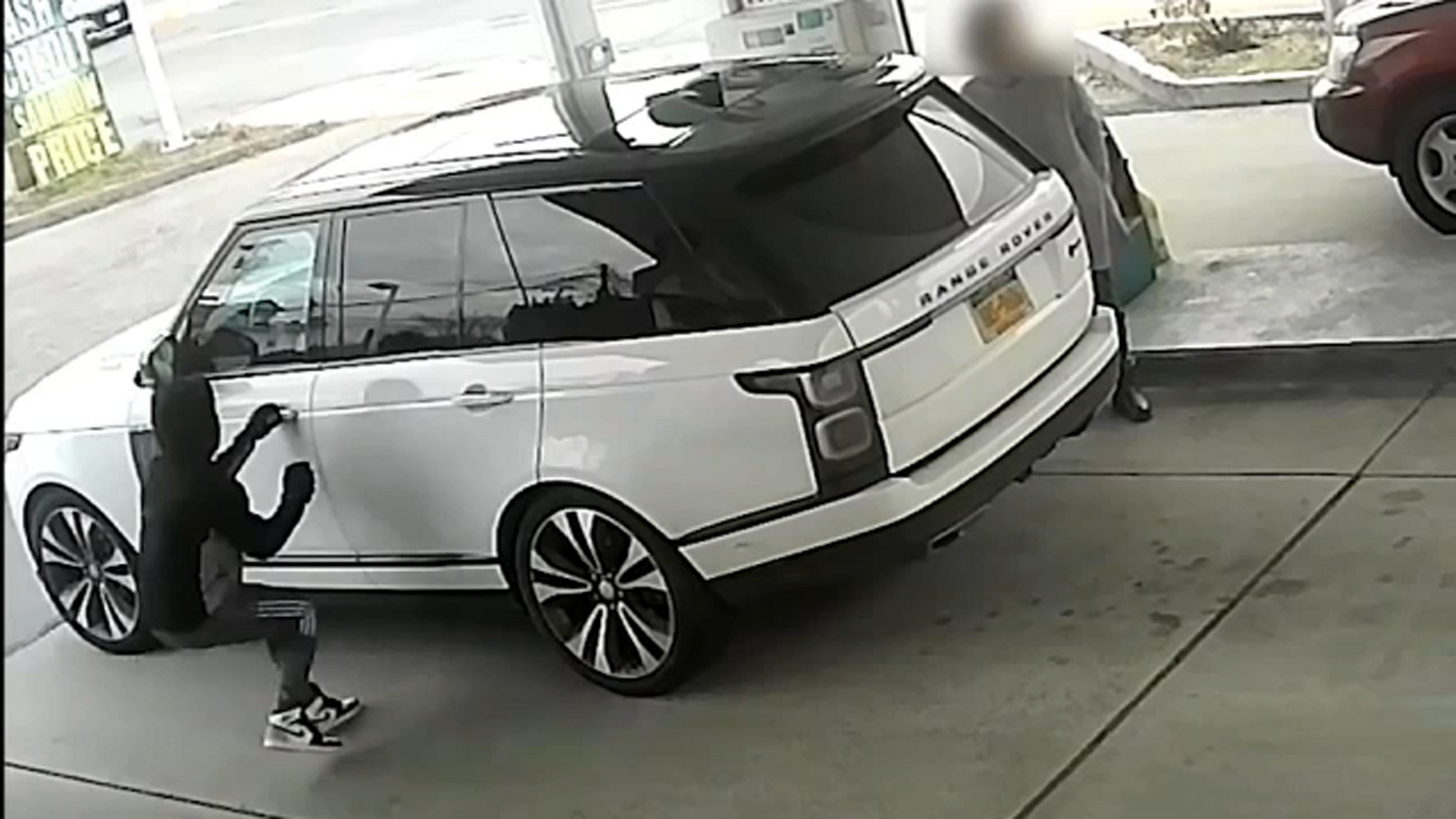Small dog dragged during Range Rover theft from gas station on Mineola ...