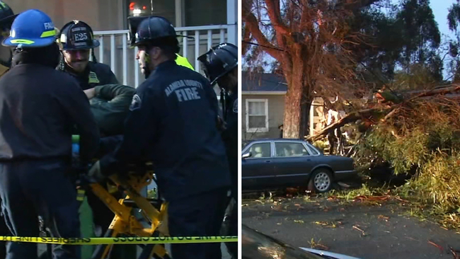 Pleasanton family escapes falling tree that broke through windows, roof ...