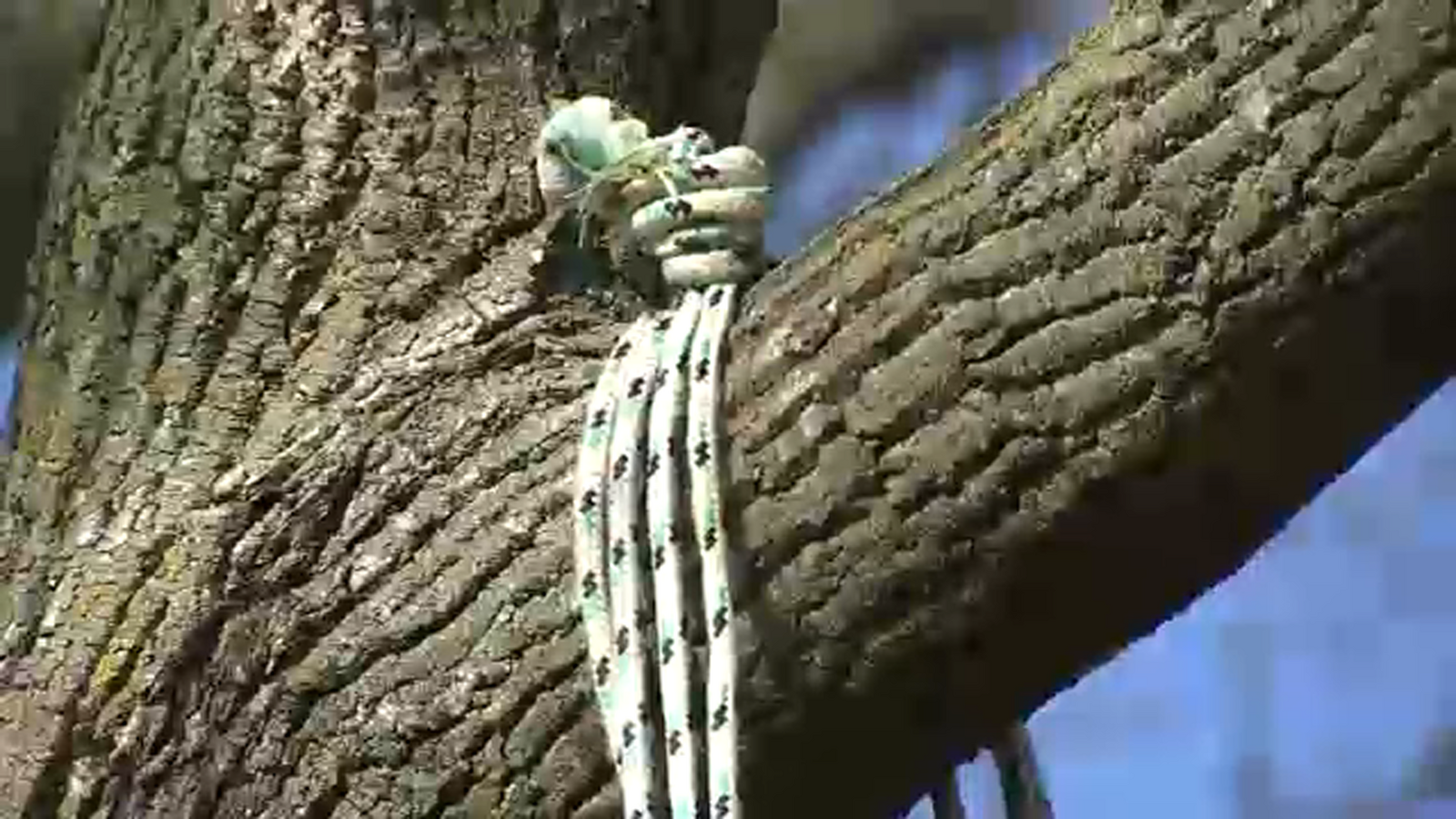 What is a noose? Ropes Chicago City Council members say resemble nooses removed from Gage Park ...