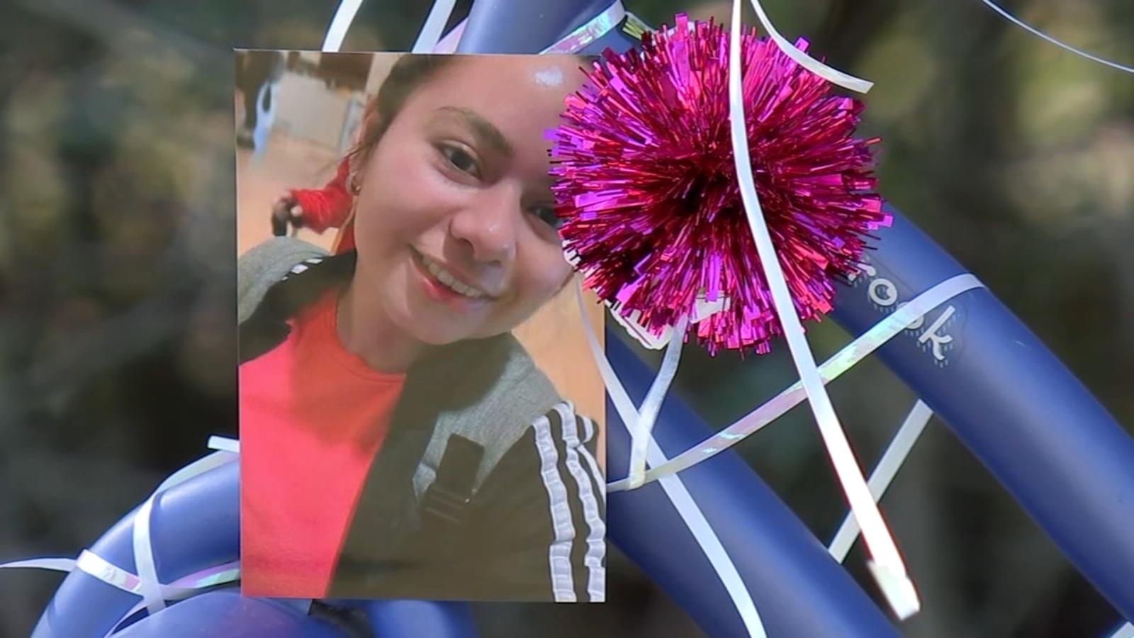 Waller County husband Jared Dicus sentenced 40 years in plea agreement ...