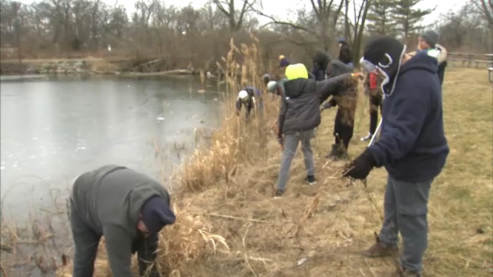 Volunteers help clean up Rolling Knolls Forest Preserve as part of ...