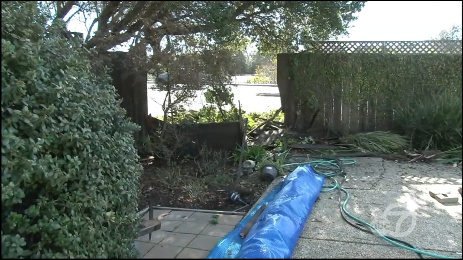 Woman dies after Tesla crashes into San Rafael pool, officials say ...