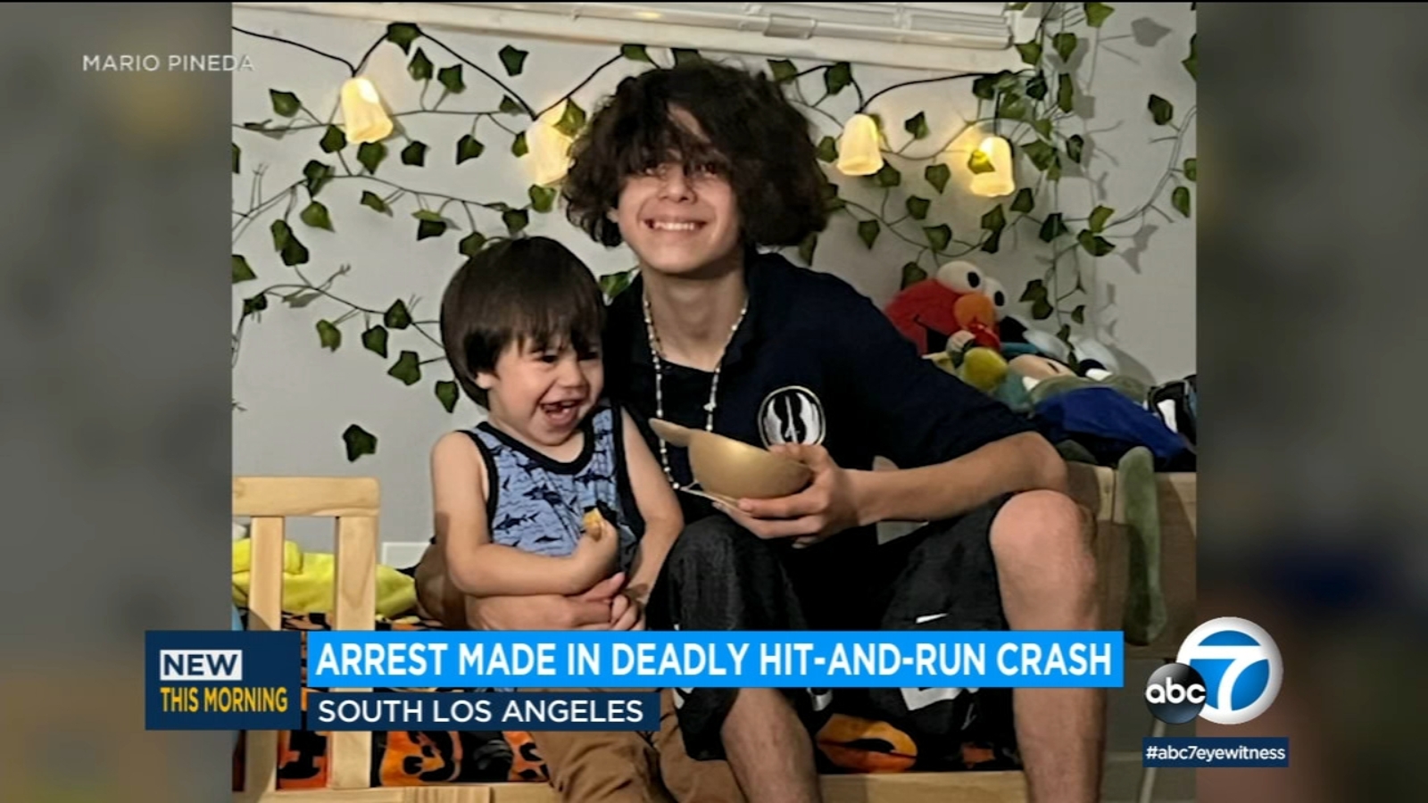 Arrest made in South Los Angeles hit-and-run that killed 2 brothers ...