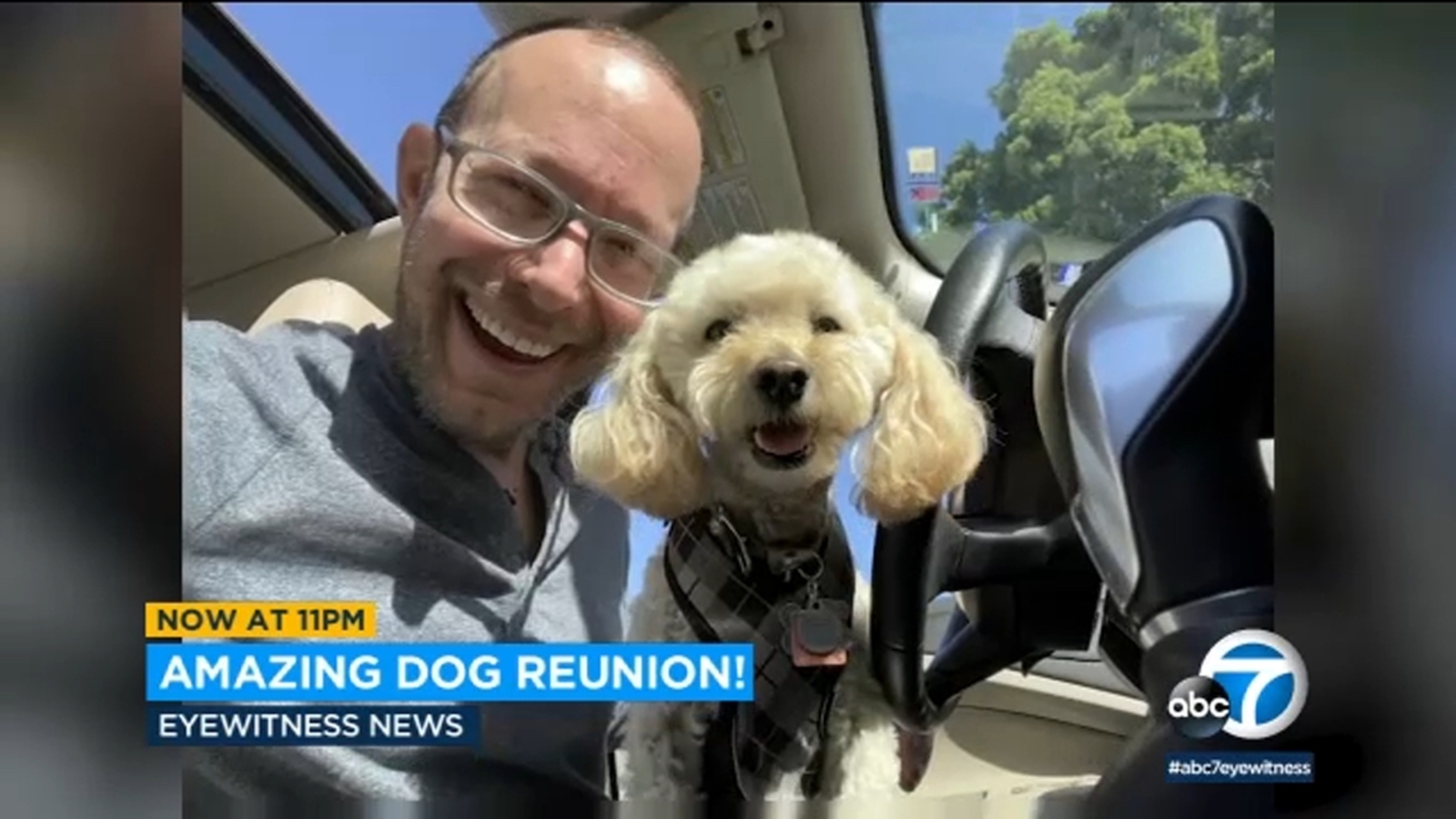 Long Beach police recover, reunite stolen dog with owner - ABC7 Los Angeles