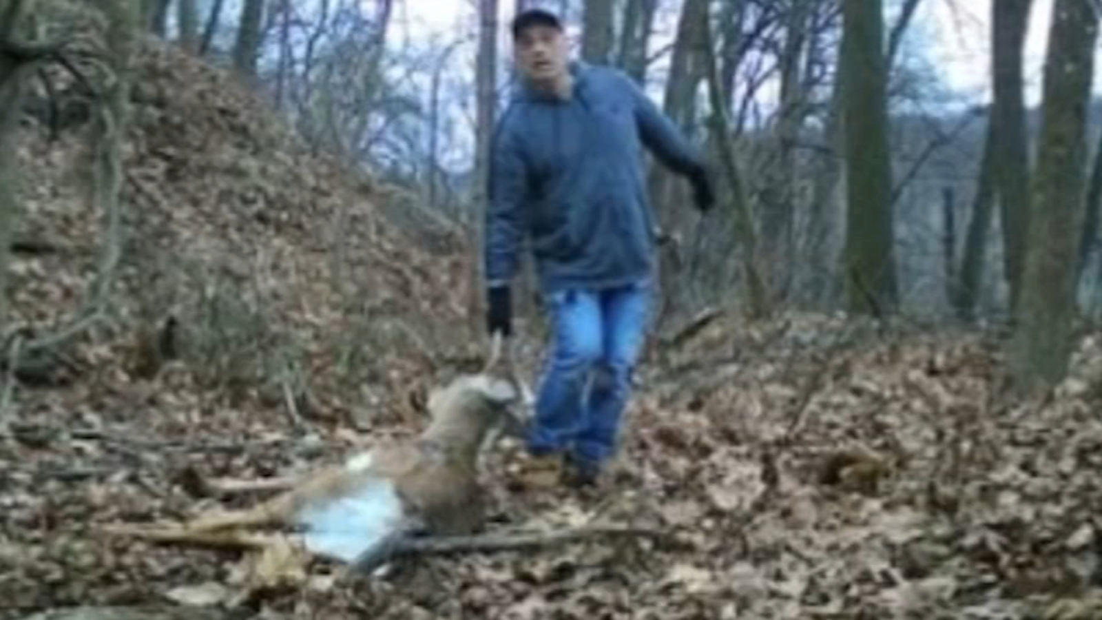 Police investigate after man allegedly shot deer on horse farm in ...