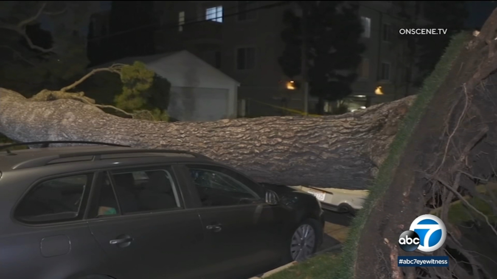 Strong winds uproot large tree in West LA neighborhood, crushing ...