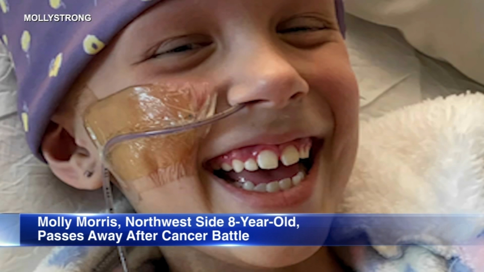 Norwood Park 3rd grader Molly Morris dies of kidney cancer at age 8 ...