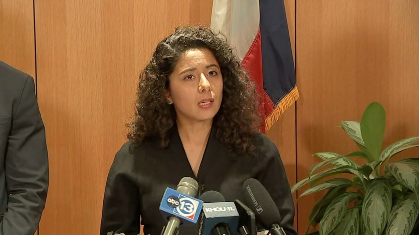 Harris Co. Judge Lina Hidalgo calls Comptroller Glenn Hegar's defunding ...