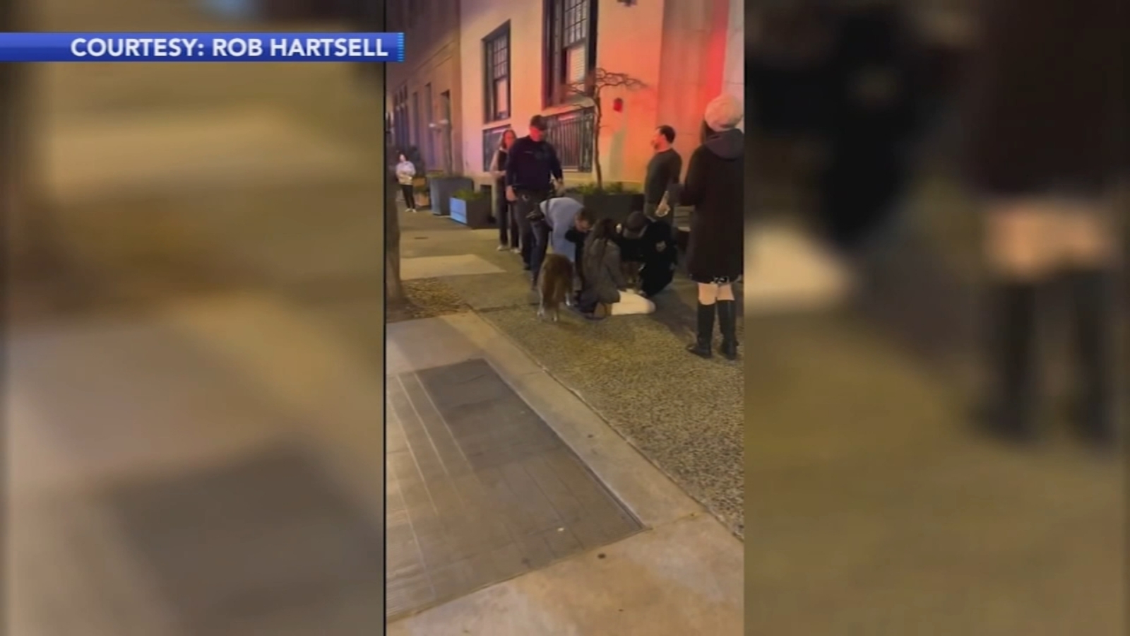 Philadelphia off-duty FBI special agent shoots dog on Spruce Street in ...