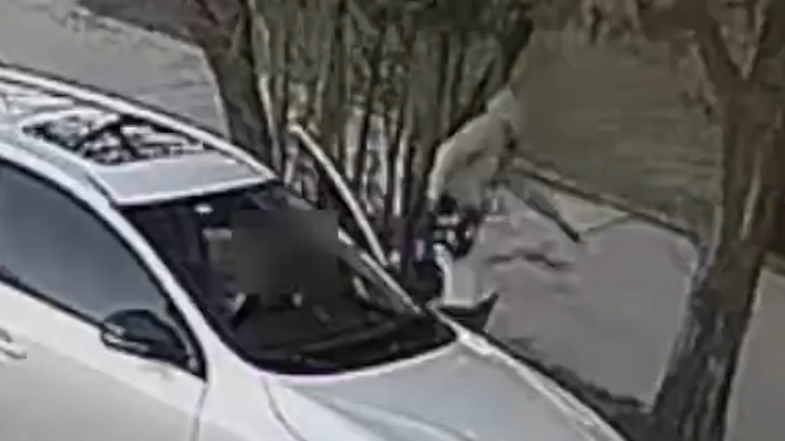 Houston man wanted after allegedly purse snatching mother who was ...