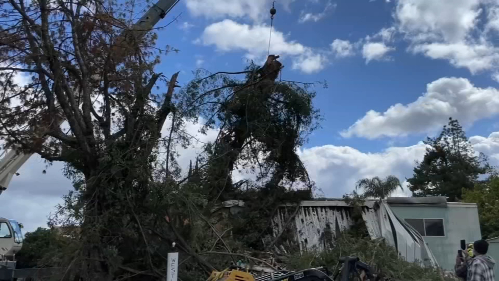 Fallen trees cause havoc across Tulare County during powerful storm ...