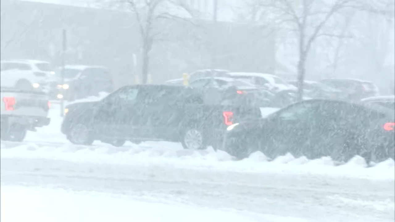 Snow Blizzard