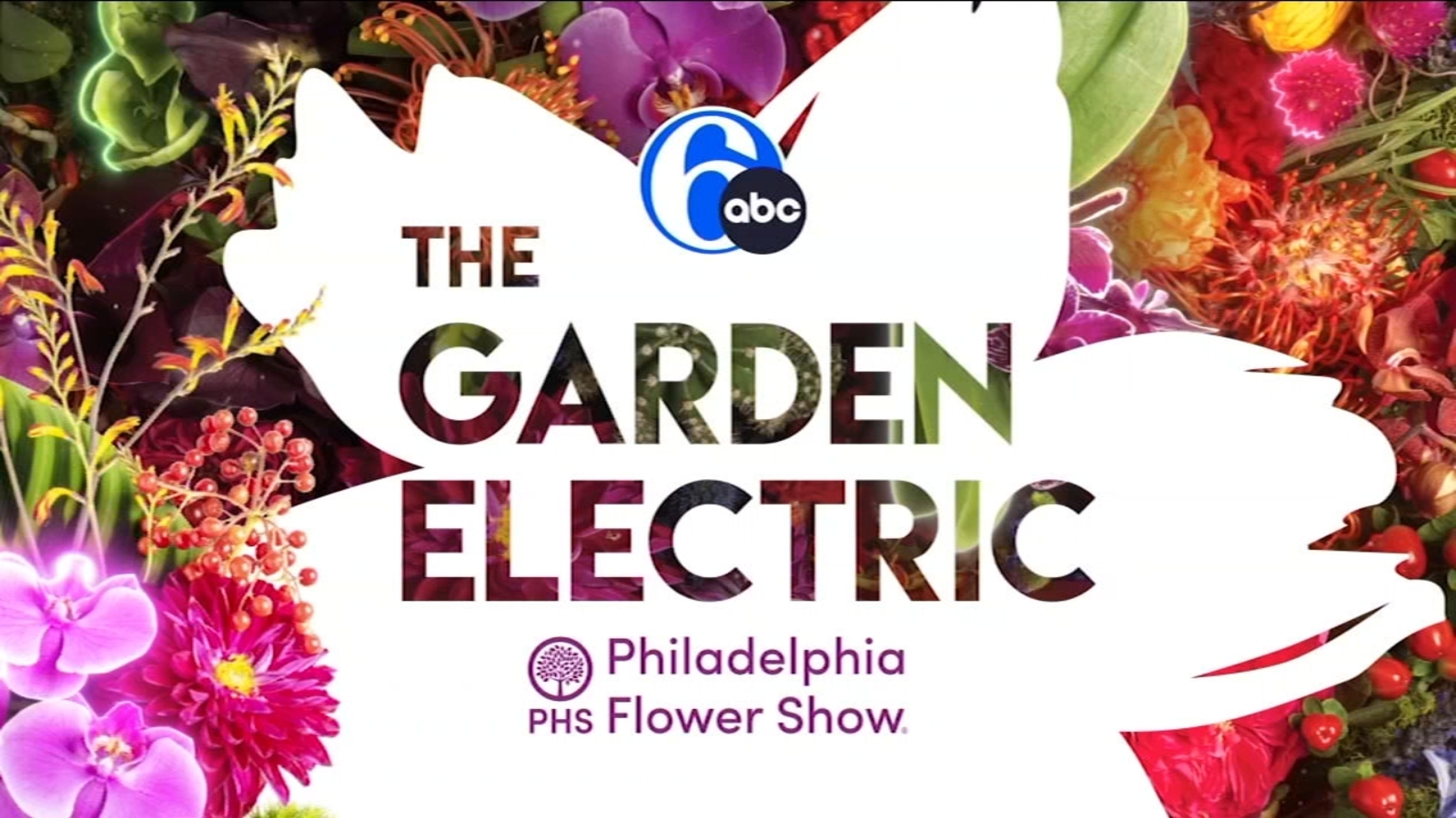 Watch The 2023 6abc Philadelphia Flower Show Special - 6abc Philadelphia